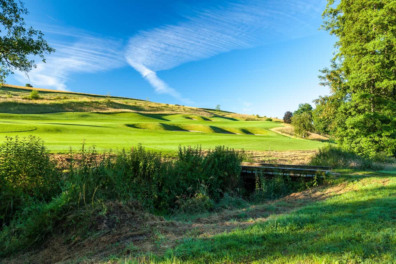 Our theme: sustainability - Golf Sustainable