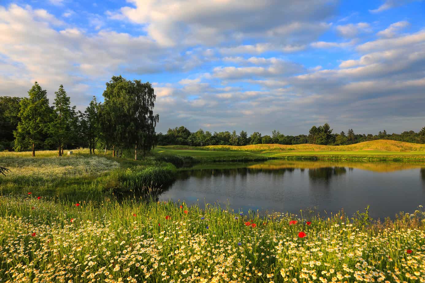 The Wisley GC: Sustainability is part of the club's DNA - Golf Sustainable